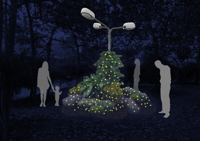 Cuques de llum | Llum BCN